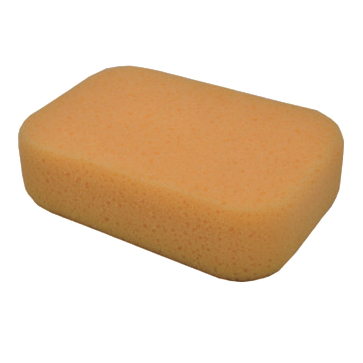 Professional Sponge Large | Bowens