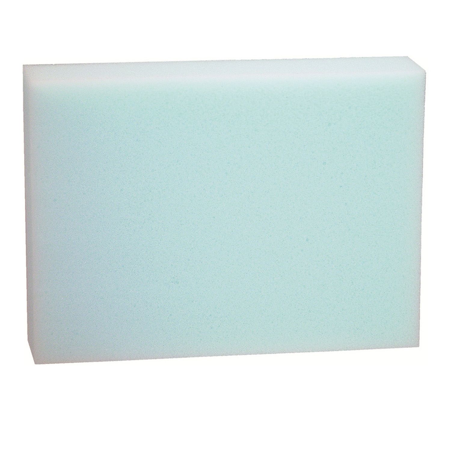 DTA All Purpose Sponge Blue | Bowens