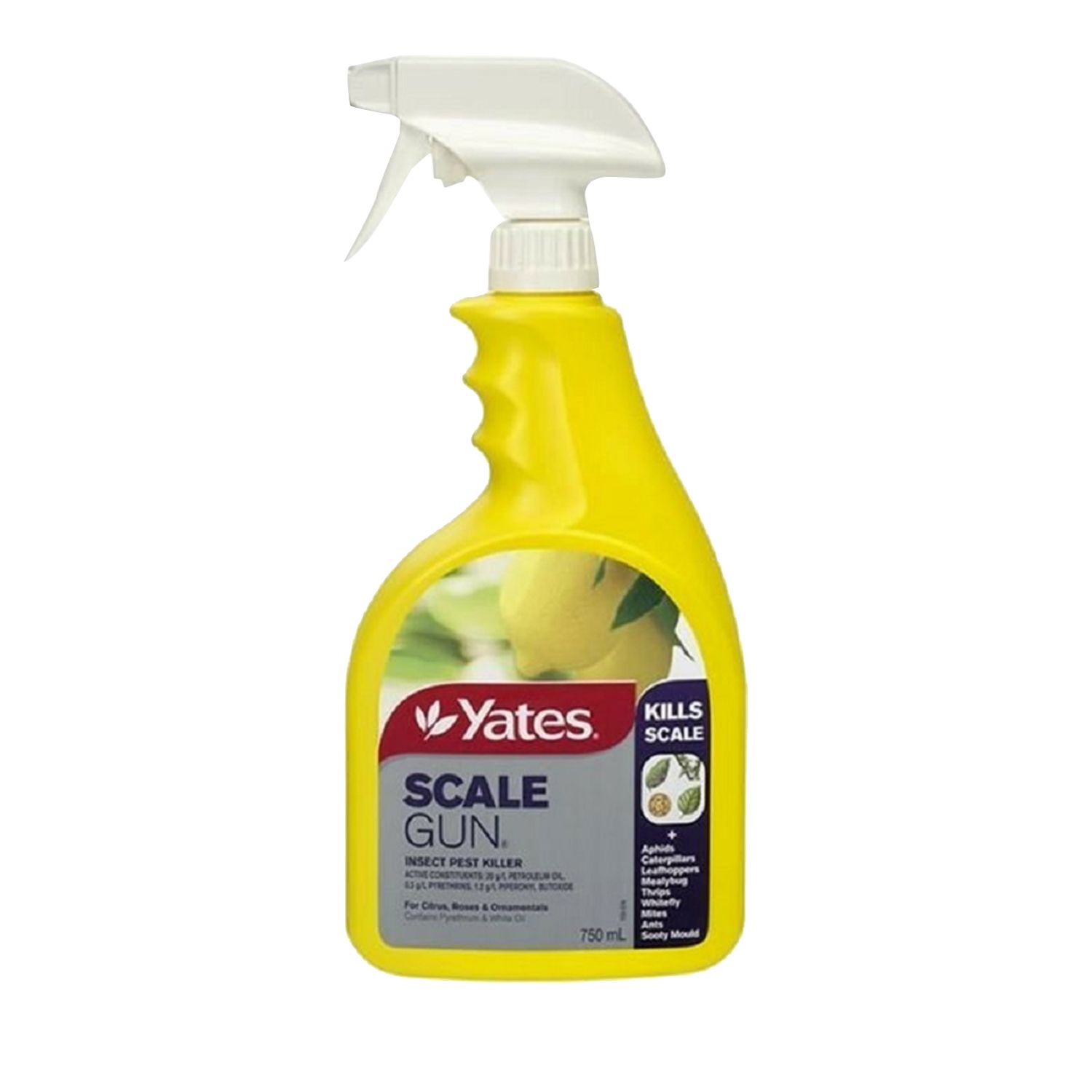 Yates® Scale Gun® Insect Pest Killer Ready To Use Spray Gun | Bowens